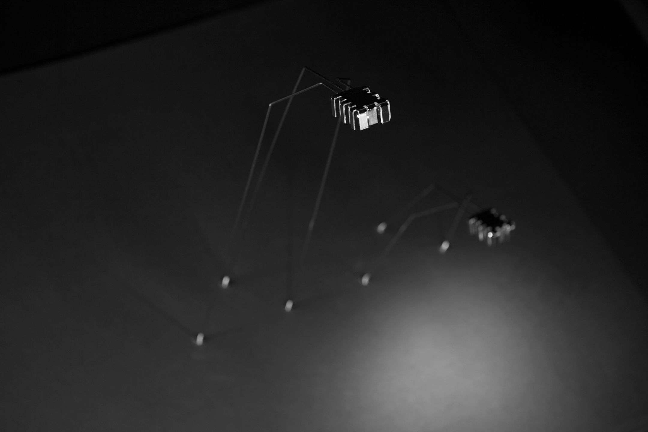 Benoit Lalloz | Nano/Macro/Nacro/Micro